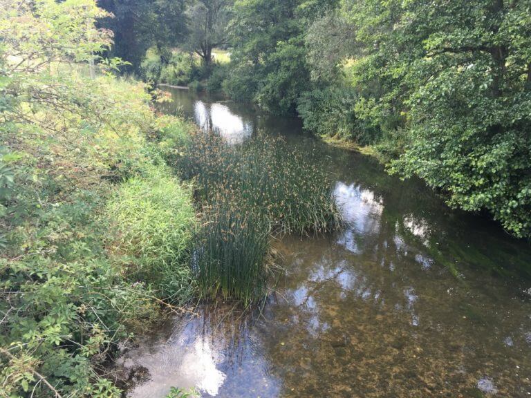 River Frome - Bath Self Catering